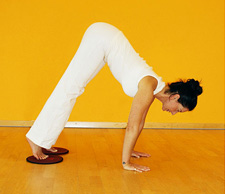 Allenamento con attrezzi – Disco: Peak » mobilesport.ch