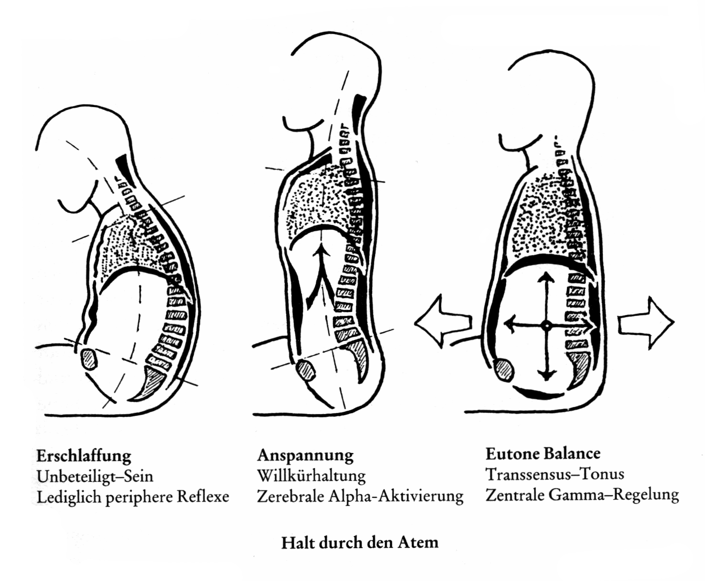 Atmung: Fakten rund ums Atmen » mobilesport.ch