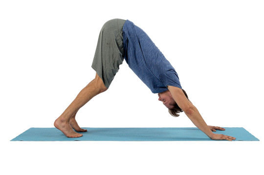 Yoga – Rumpf (P2): Herabschauender Hund » mobilesport.ch