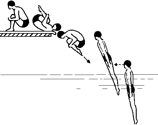 Plongeon – Sauts: Forme élémentaire du saut périlleux arrière groupé ...