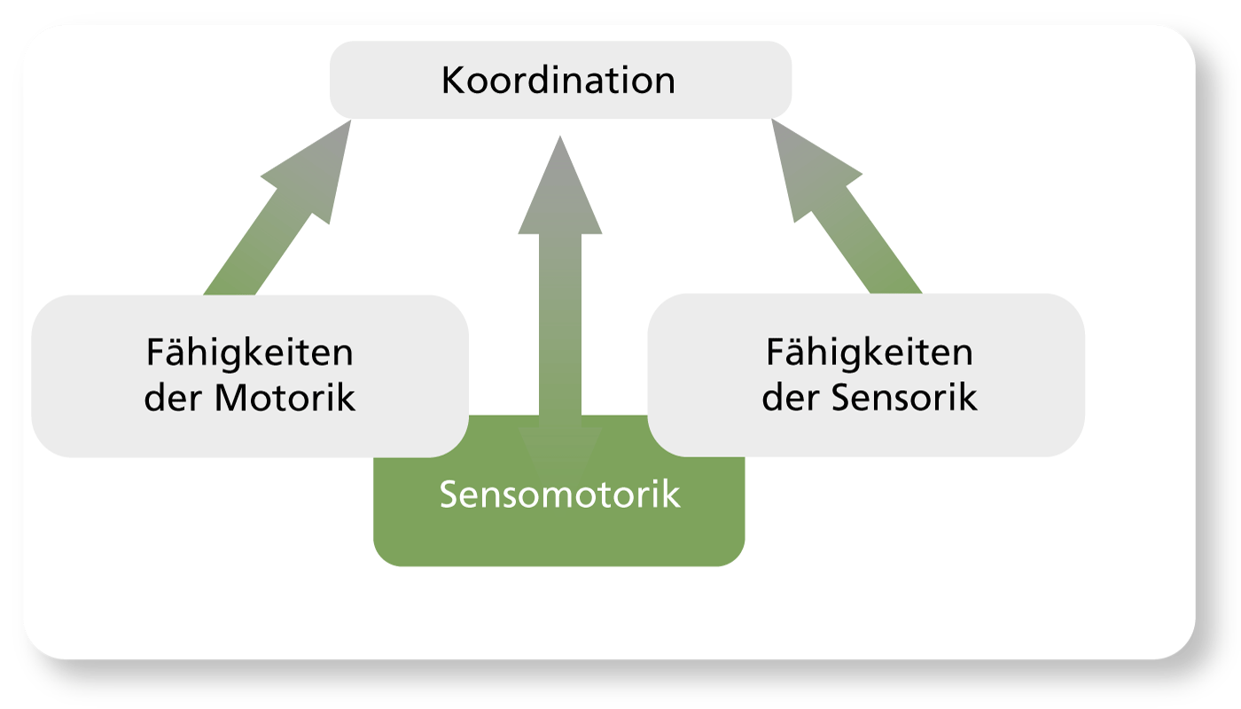 Sensomotorisches Training: Was ist Sensomotorik? » mobilesport.ch
